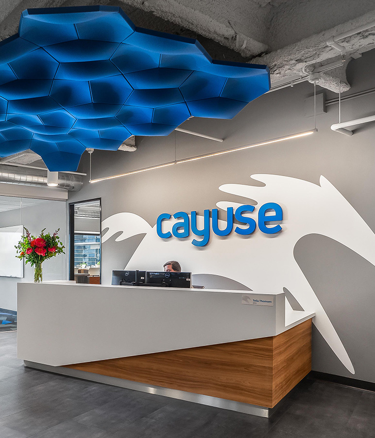 Cayuse Offices